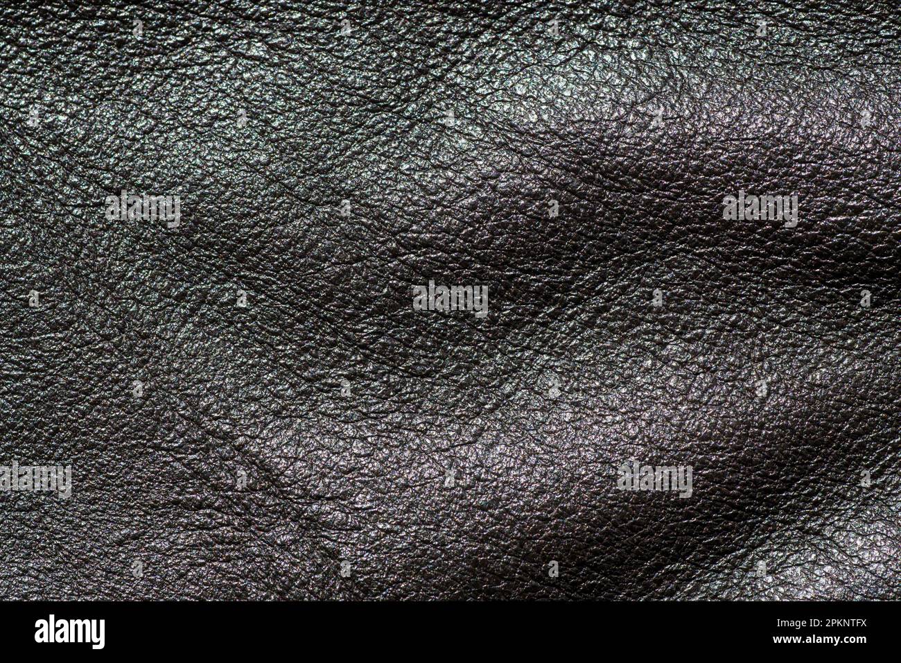 A close-up of a textured black leather pattern, creating an abstract ...
