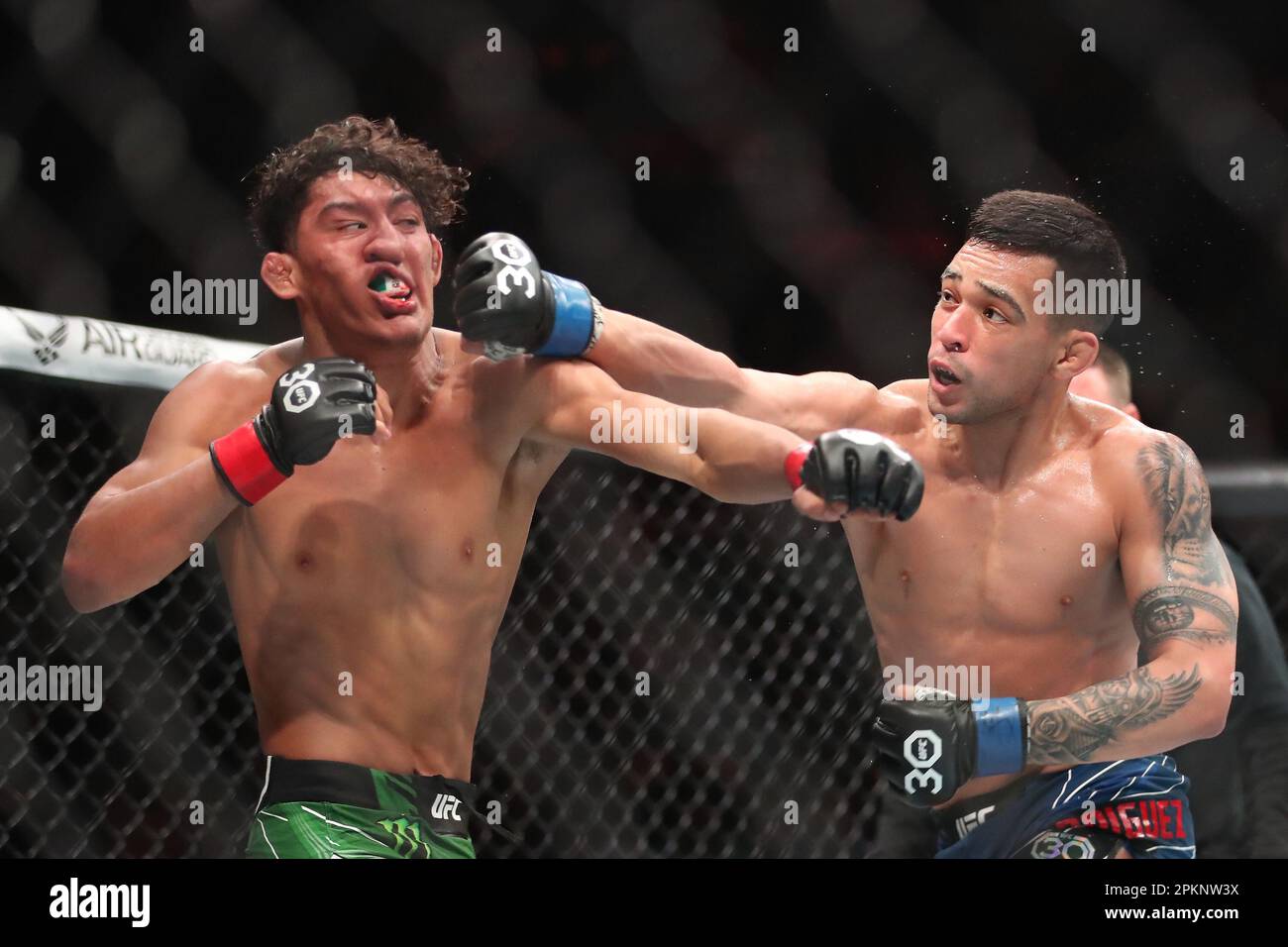 Mma pics hi-res stock photography and images - Alamy