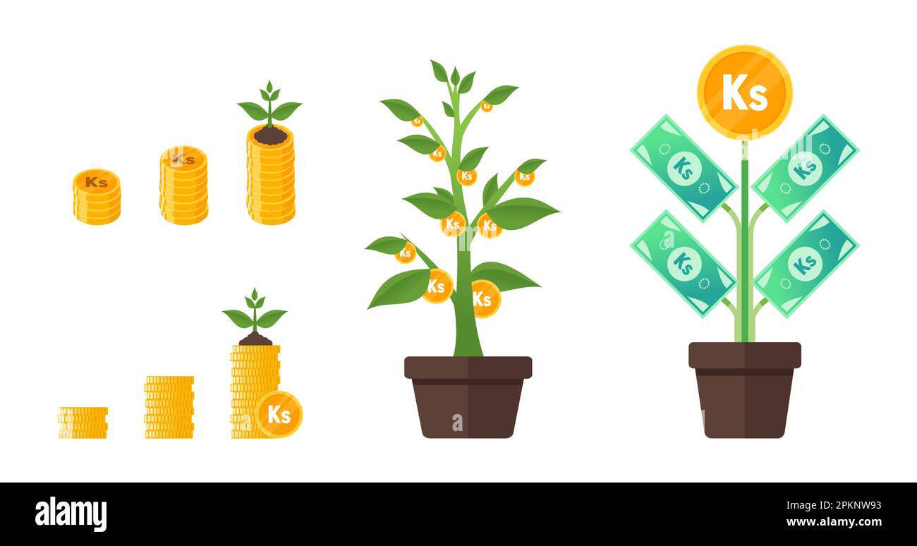 Small money tree plant Cut Out Stock Images & Pictures - Alamy