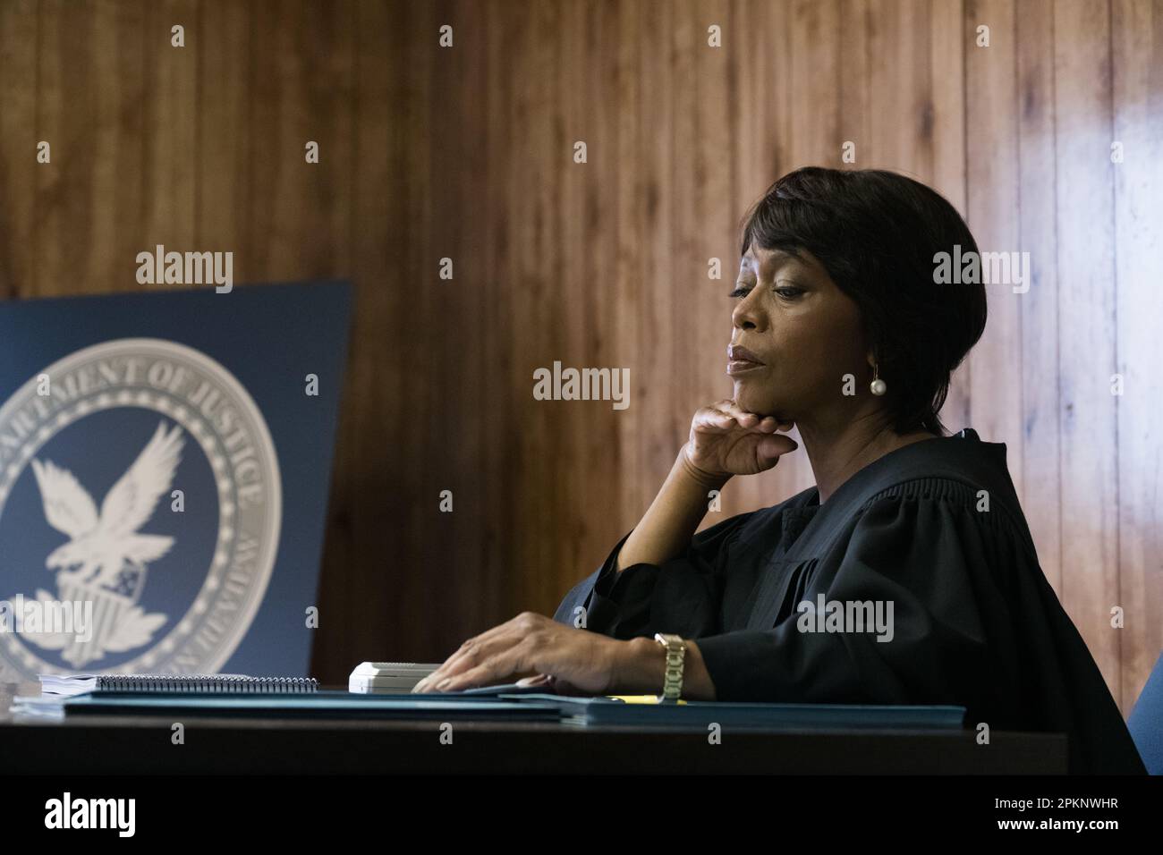 ALFRE WOODARD in SAINT JUDY (2019), directed by SEAN HANISH. Credit ...
