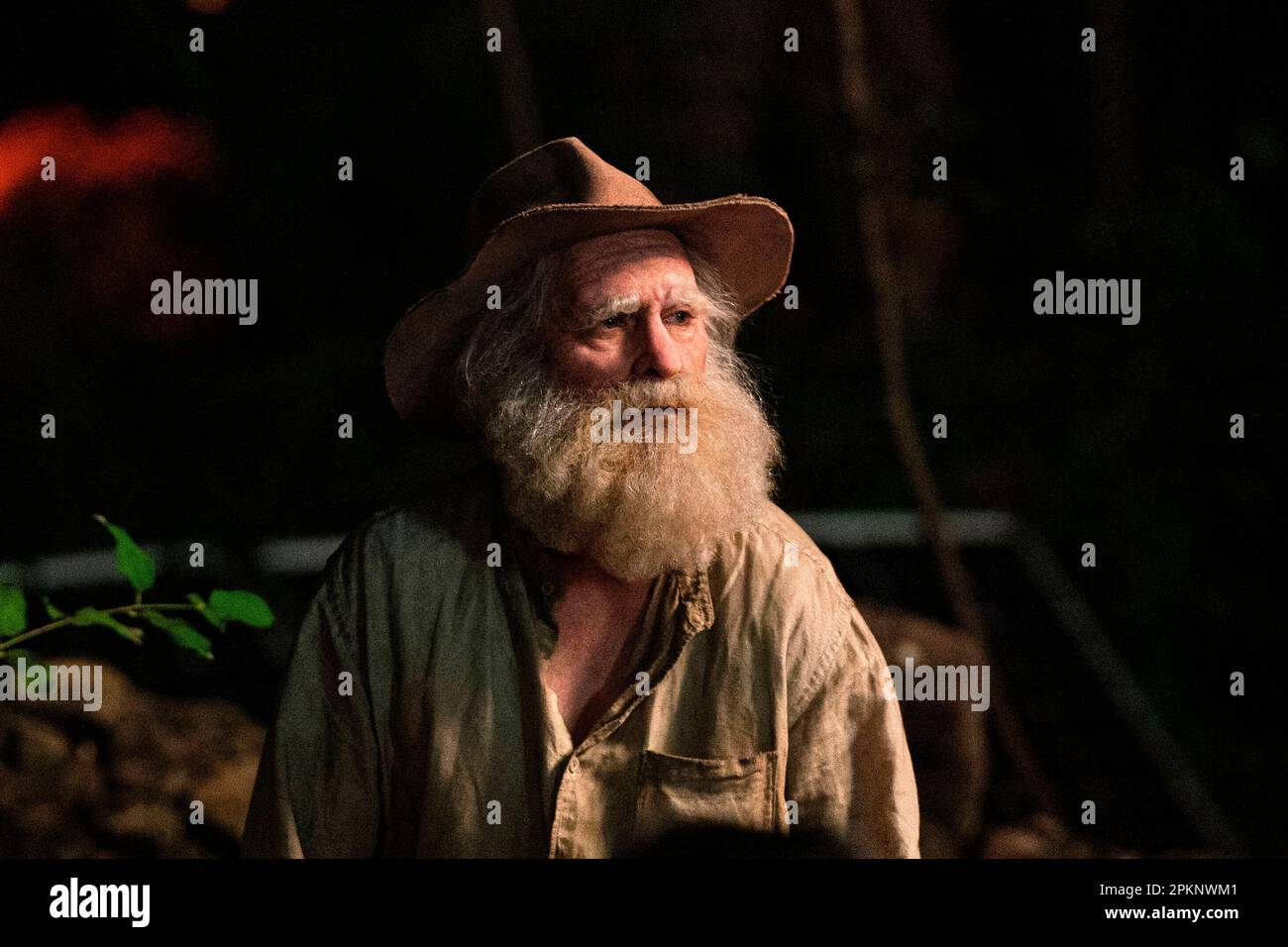 Beau is afraid joaquin phoenix hi-res stock photography and images - Alamy