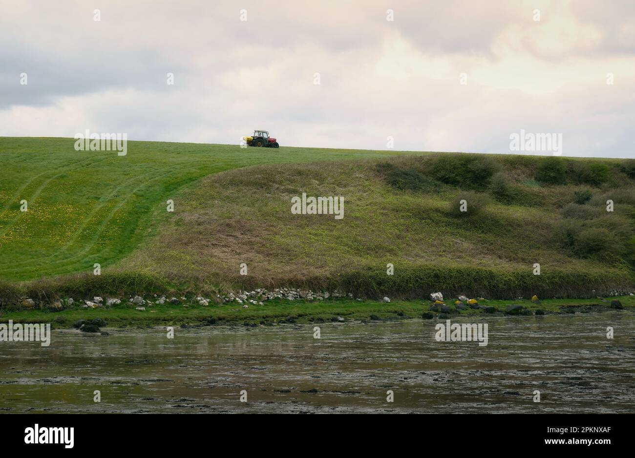 Tractor driving on farm in flower field by the Silverstrand beach in ...