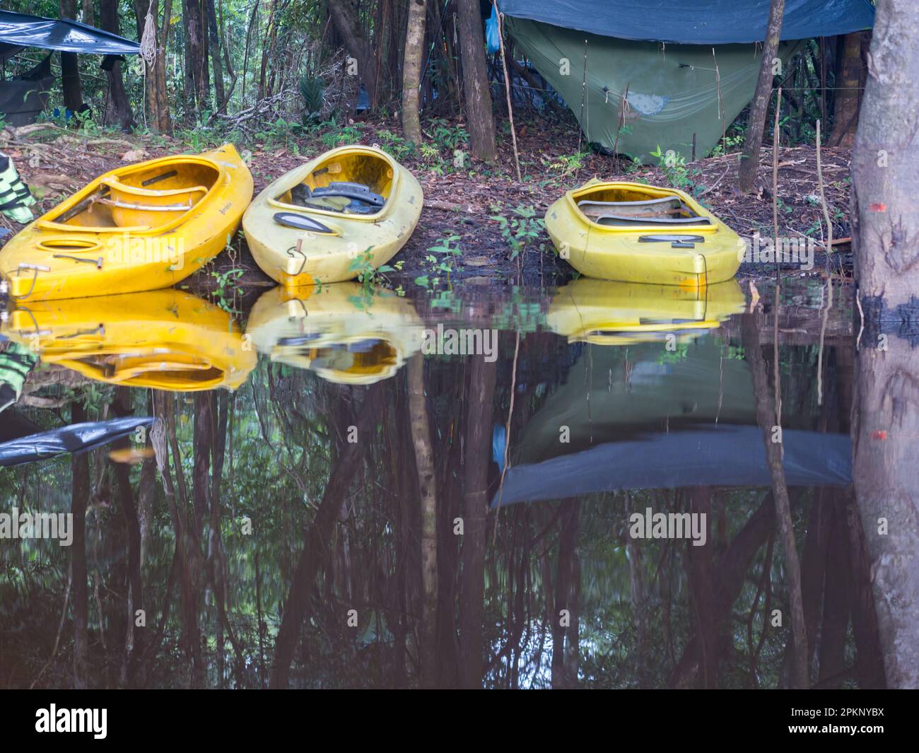 Jungle, Brazil - March 2018: Camp with hammocks in the amazon jungle ...