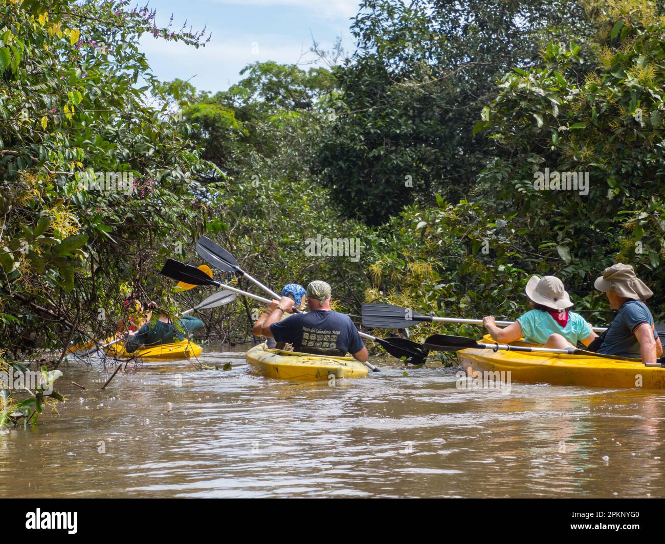 Jungle, Brazil - Nov, 2019: A group of people are kayaking among the ...