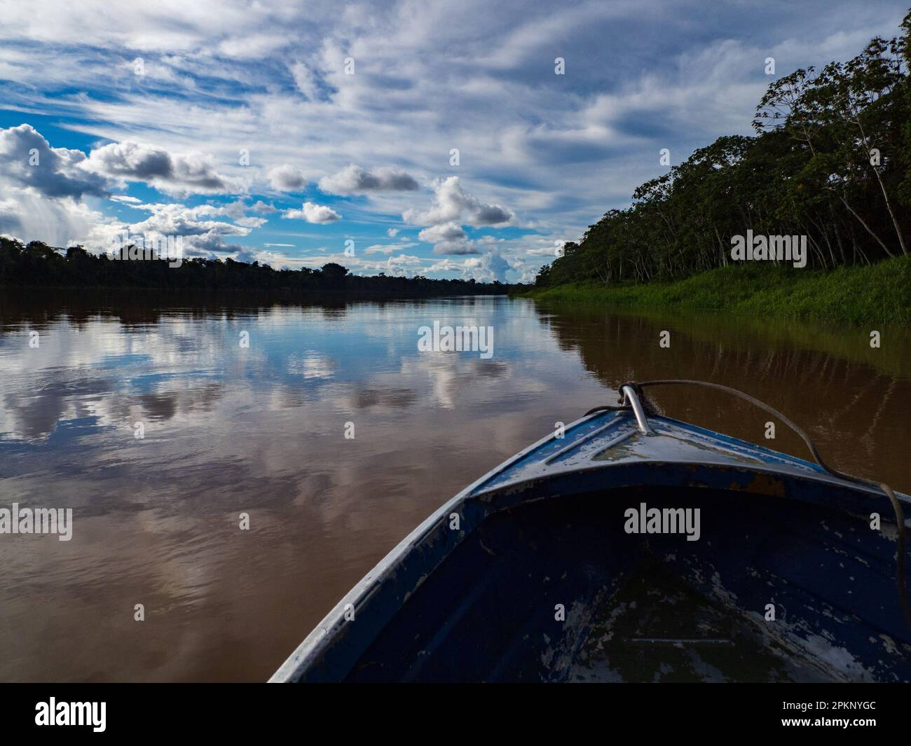 Selva brasil hi-res stock photography and images - Alamy