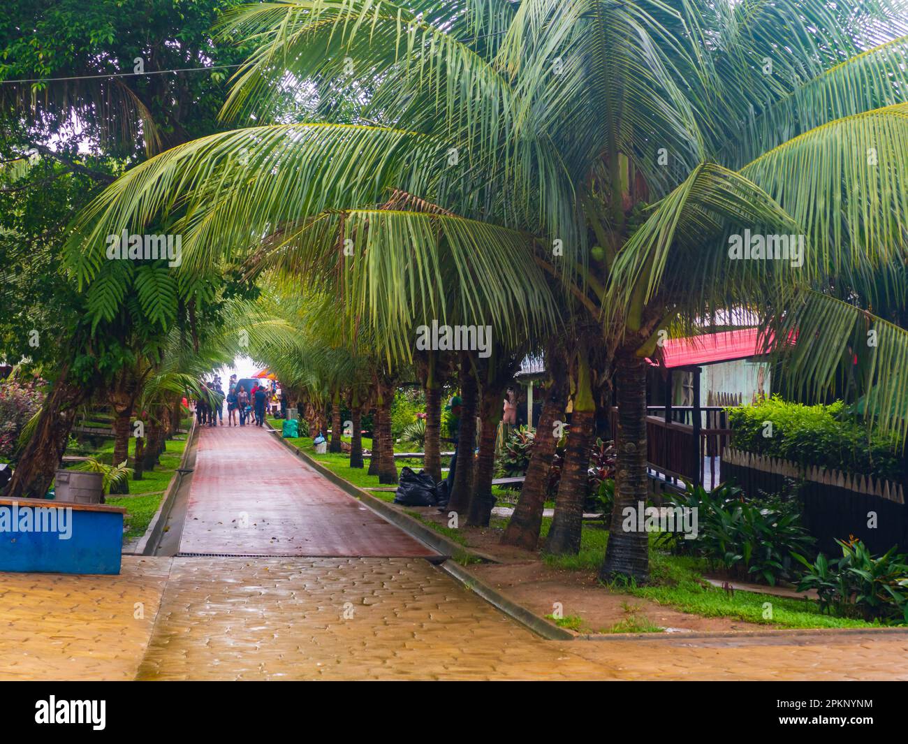 Puerto Narino, Colombia - Dec,2021: Street in Puerto Nariño - the ...