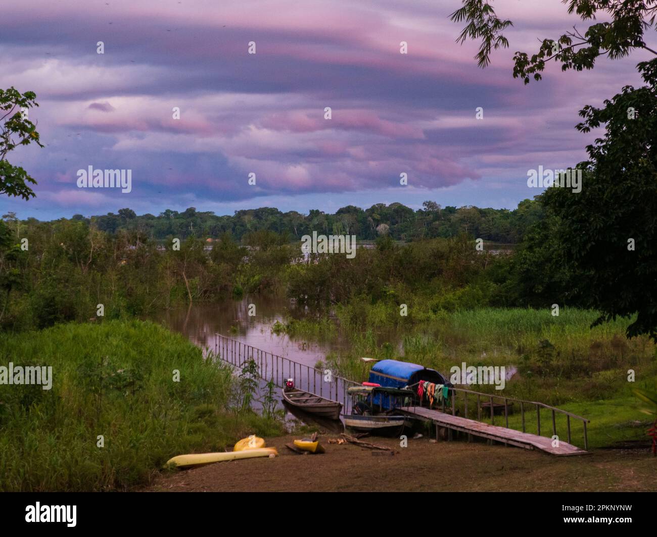 Sunset at the Javari River, the tributary of the Amazon River, Amazonia ...