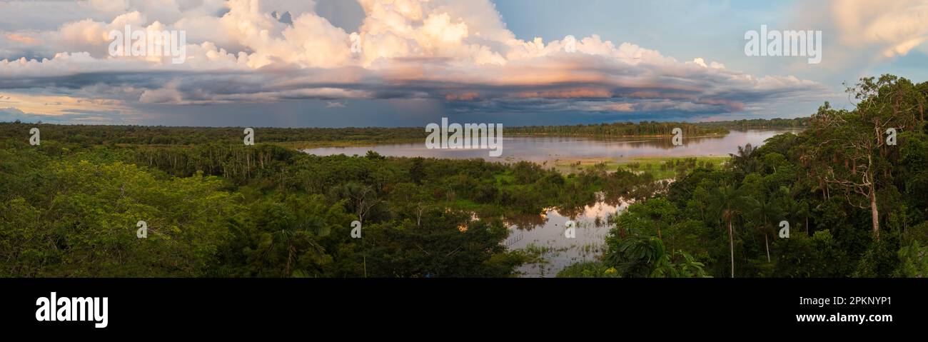 Sunset at the Javari River, the tributary of the Amazon River, Amazonia ...