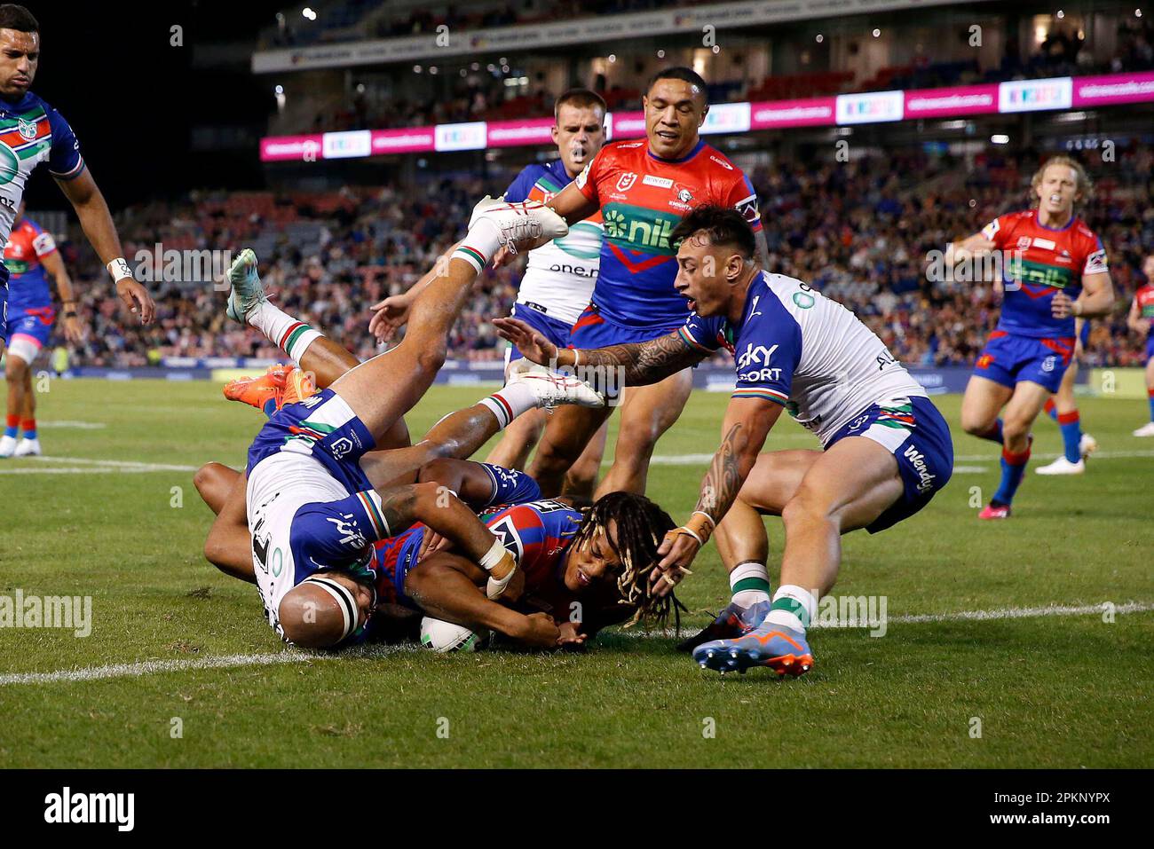 Dominic Young of the Knights scores a try during the NRL Round 6 match ...