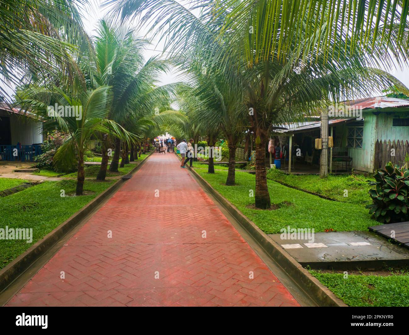 Puerto Narino, Colombia - Dec,2021: Street in Puerto Nariño - the ...