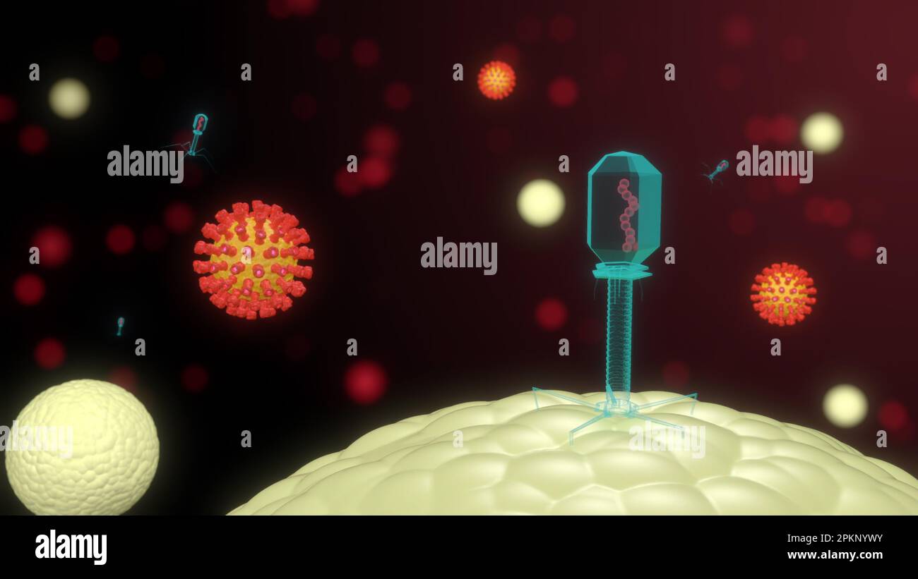 bacteriophages infect the cell mechanism of RNA injection into a living ...