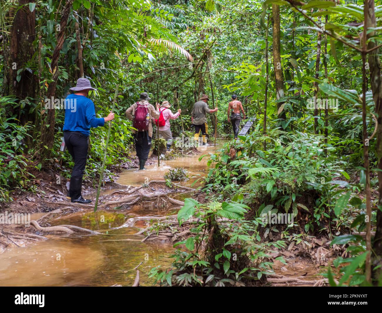 Leticia, Colombia - Dec, 2021: Trekking through rainforest of the ...