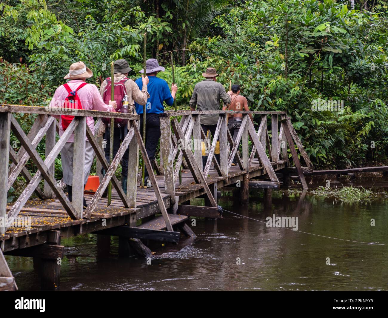 Amazon rainforest brazil bridge hi-res stock photography and images - Alamy