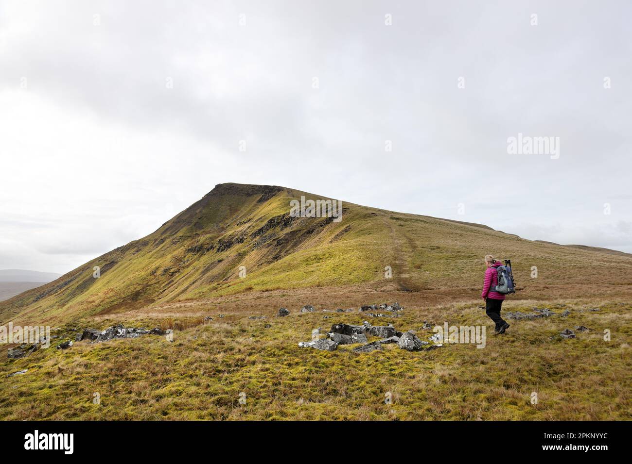 Walker on the path towards the Nab on Wild Boar Fell, Cumbria, UK Stock ...