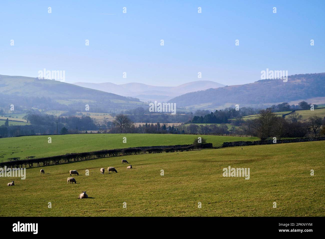 The soft landscape of the southern lake district, near Stanton, off the ...