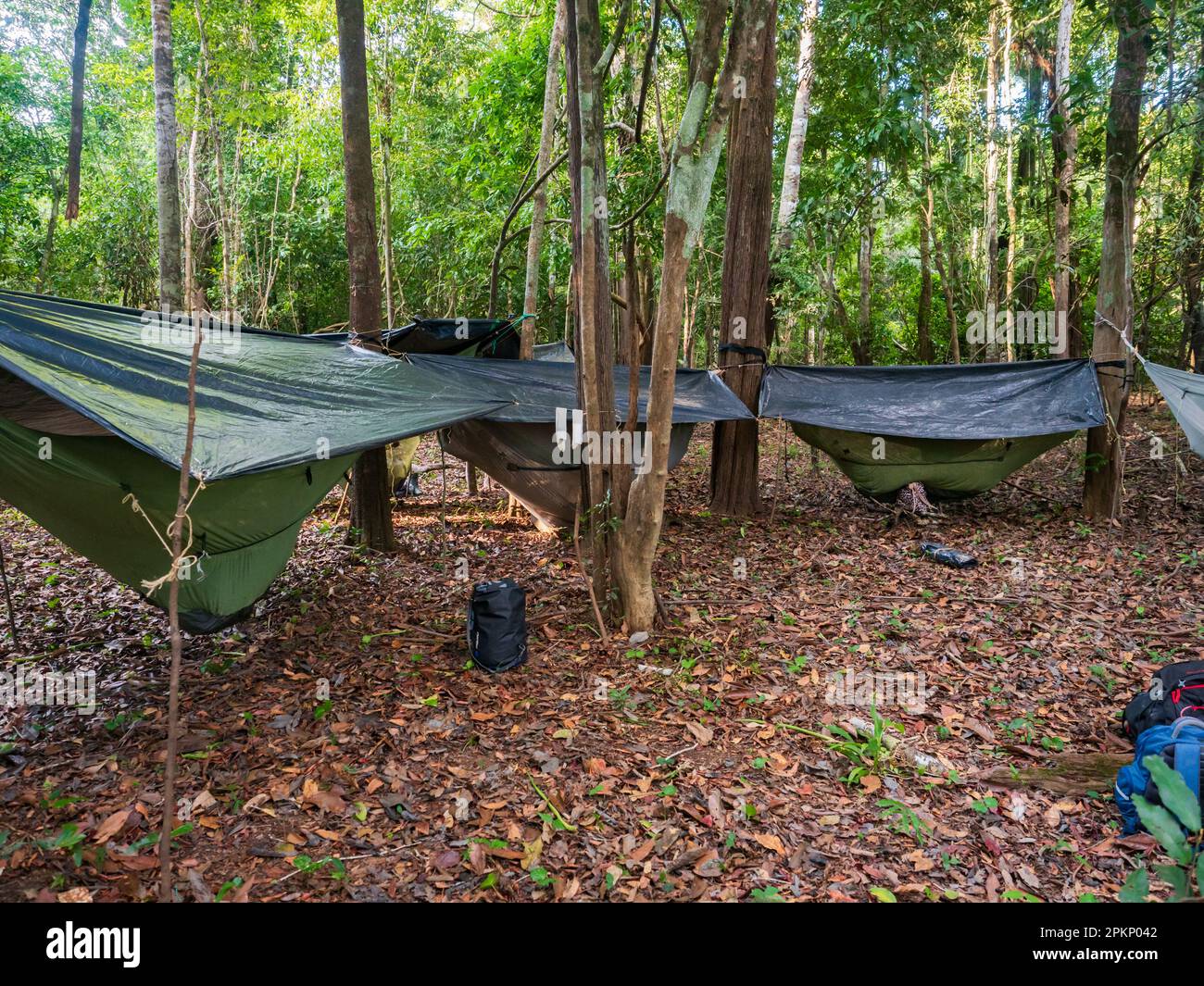 Jungle, Brazil - Sep 2018: Camp with hammocks in the amazon jungle ...