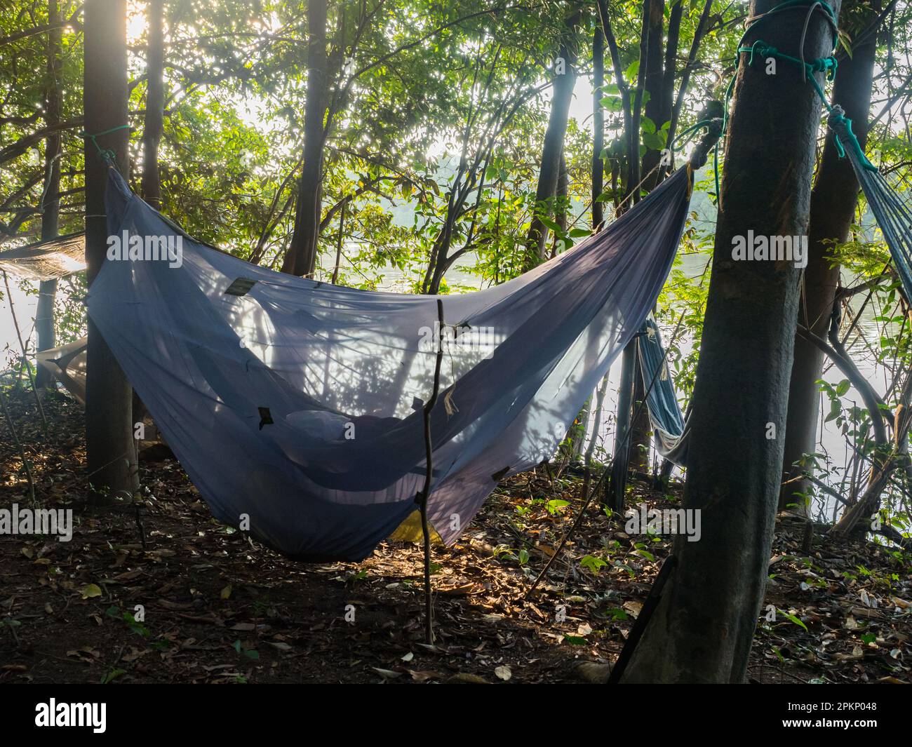 Jungle, Brazil - Sep 2018: Camp with hammocks in the amazon jungle ...