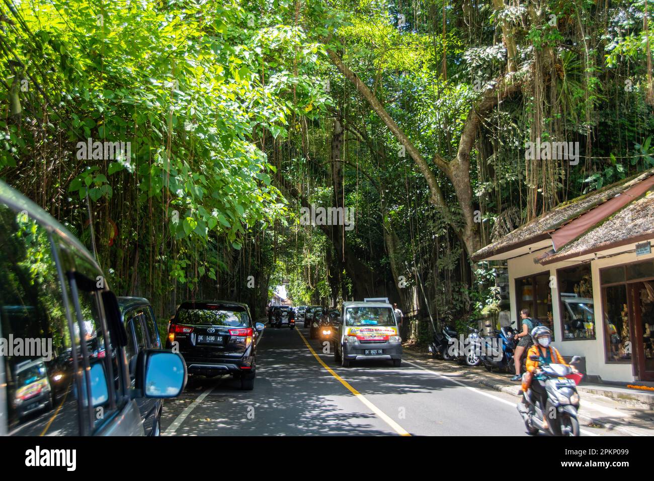 Bali, Indonesia 2 September 2022, Heavy traffic in the "Green Tunnel ...