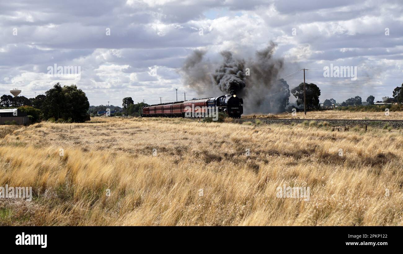 Victoria line train hi-res stock photography and images - Alamy
