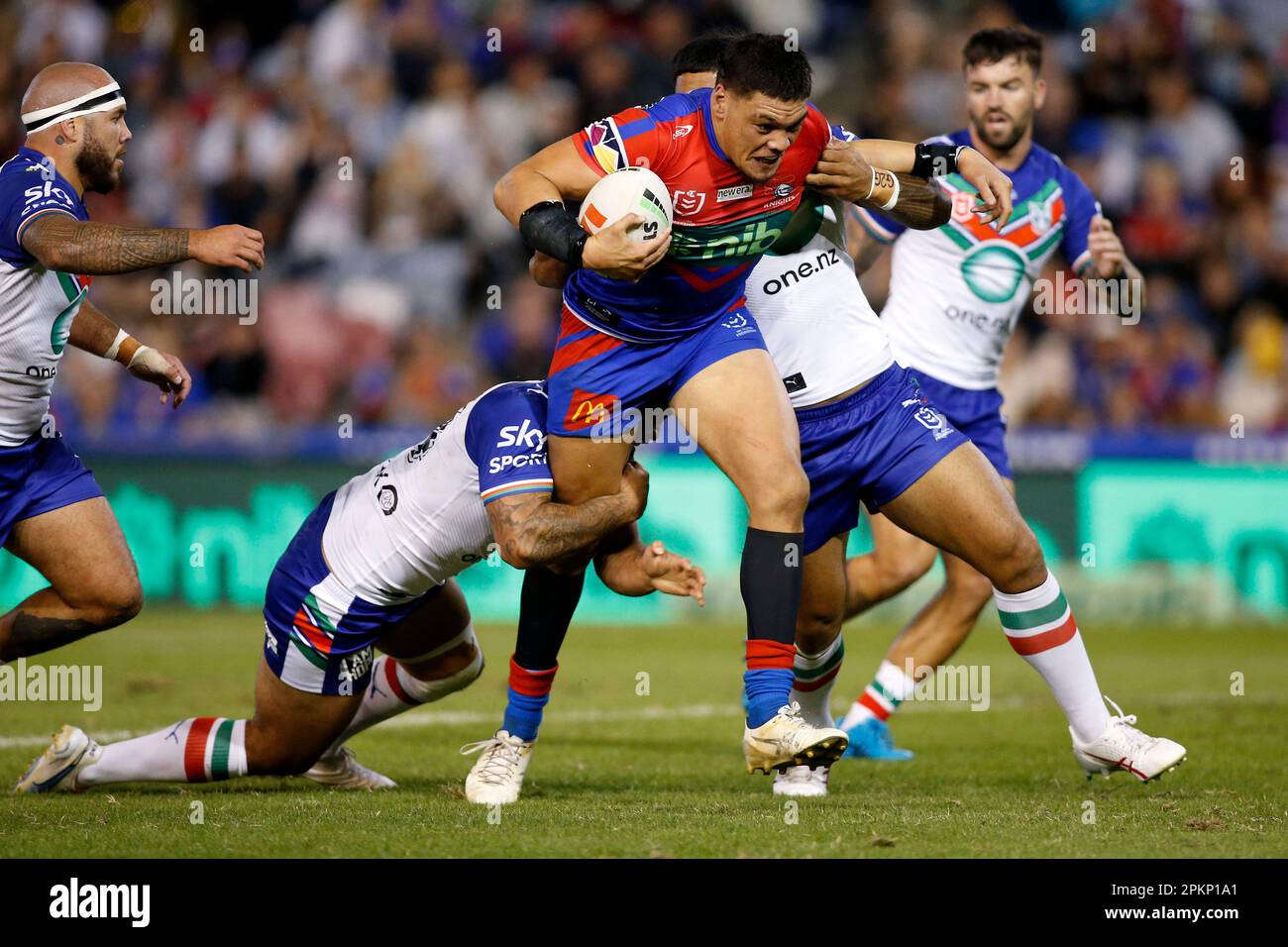 Leo Thompson of the Knights during the NRL Round 6 match between the ...