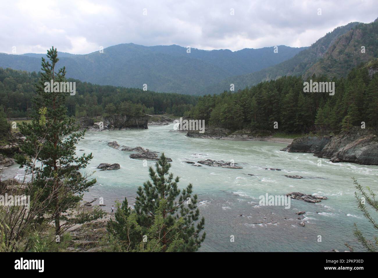 Confluence two rivers, turquoise and blue color into one river Katun ...
