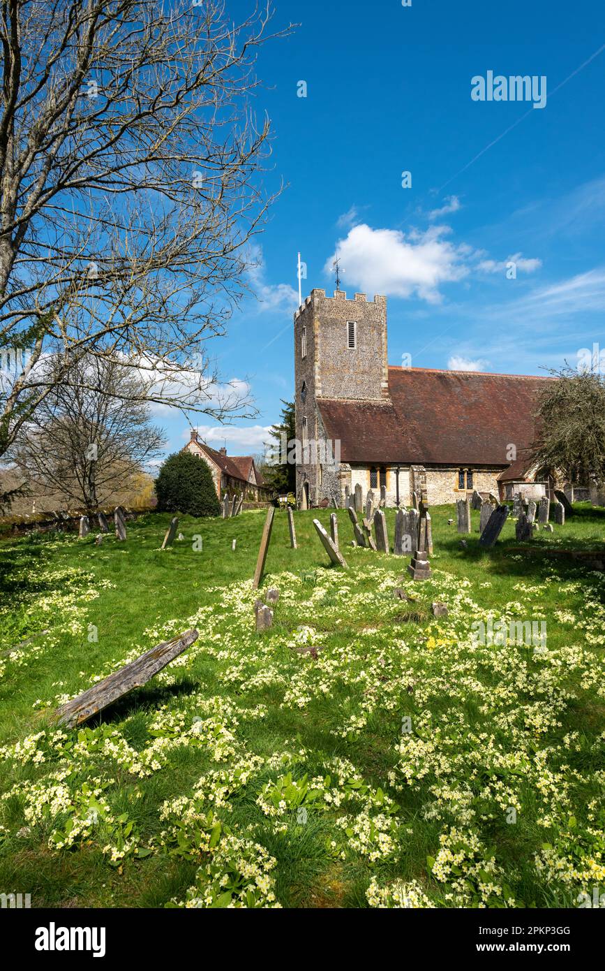 Buriton hi-res stock photography and images - Alamy