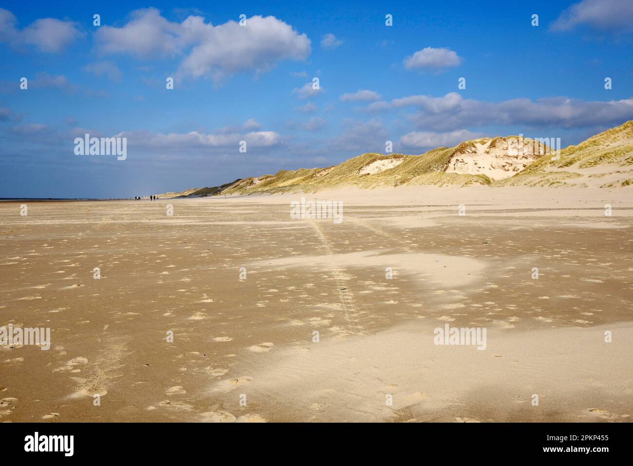 Beach, Dunes, Egmond aan Zee, Egmond, North Holland, The Netherlands ...