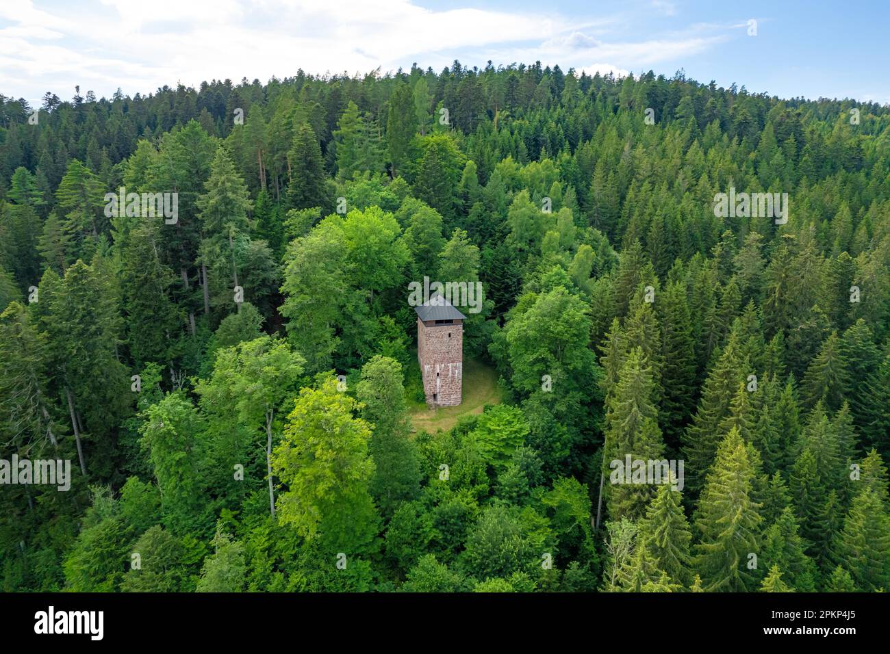 Aerial view of Fautsburg in the green forest, Bad Wildbad, Black Forest ...