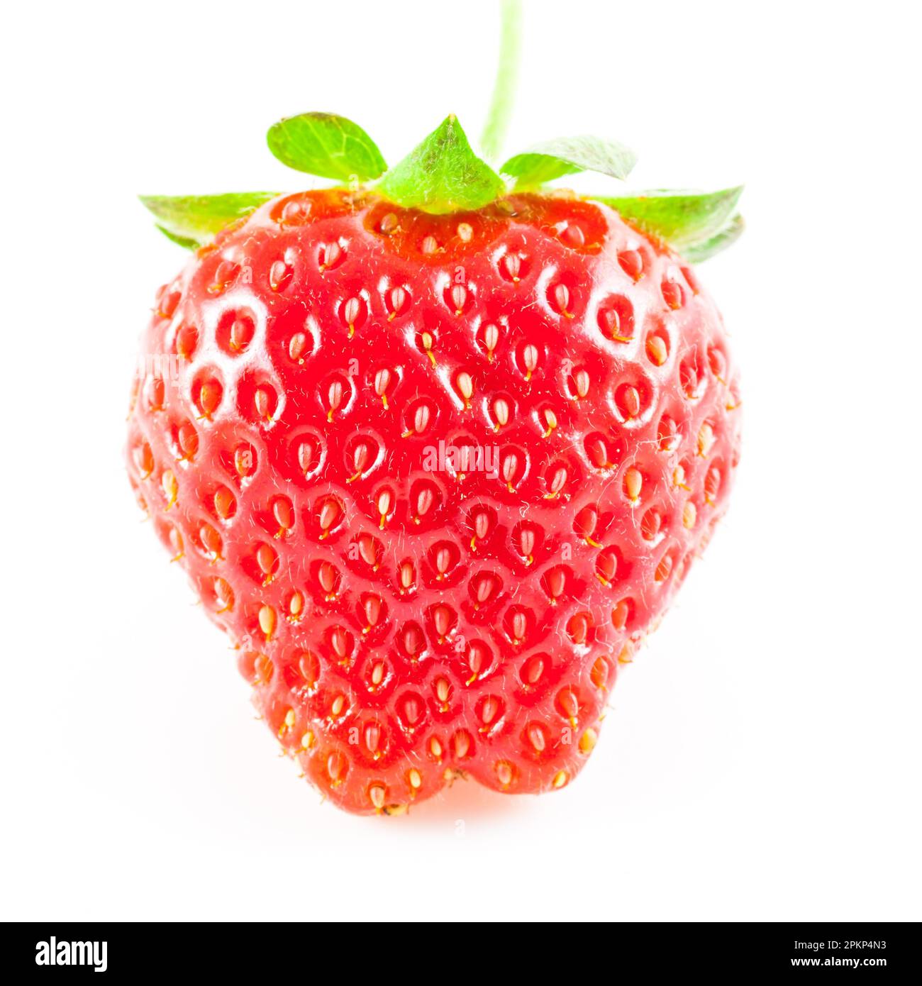 Directly from my vegetable garden, a real strawberry: no plastic Stock ...