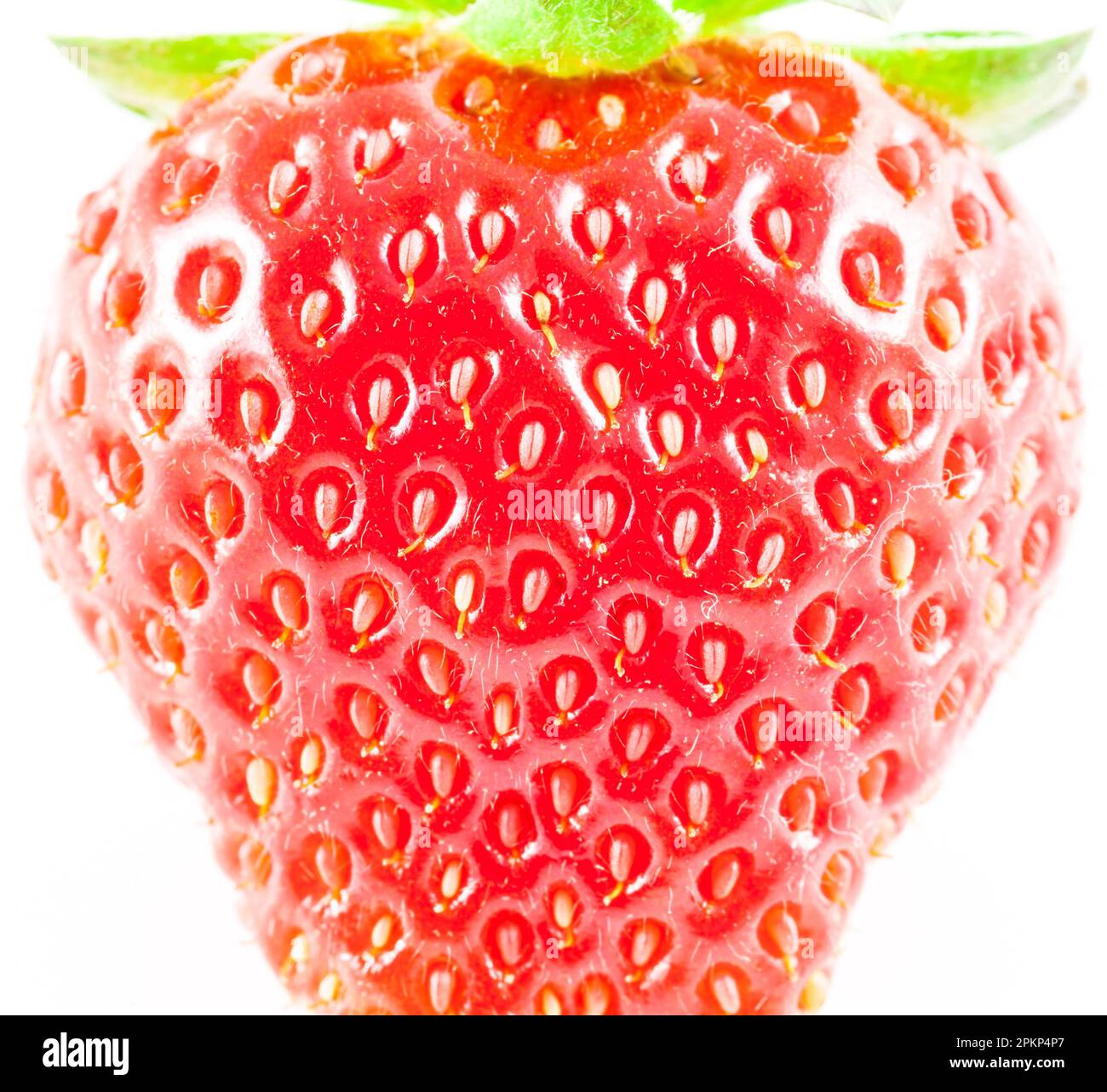 Directly from my vegetable garden, a real strawberry: no plastic Stock ...