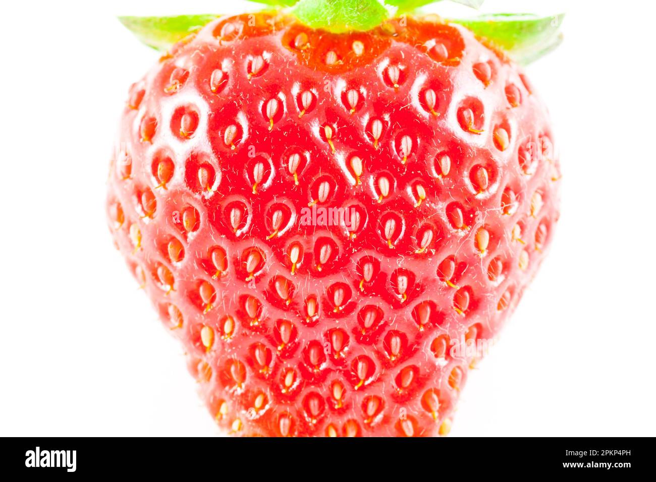 Strawberry garden plastic hi-res stock photography and images - Alamy