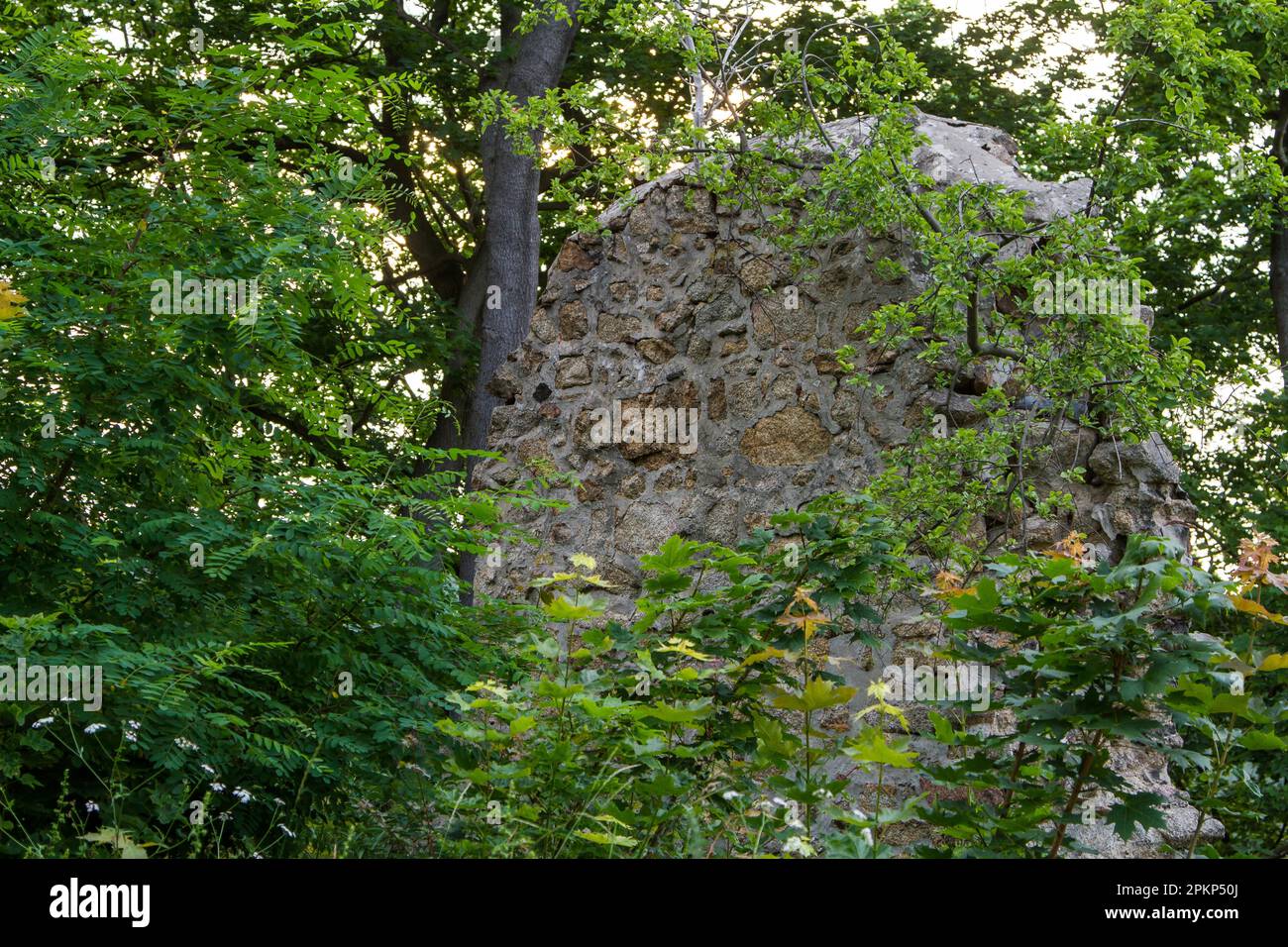 Burgruine holstein hi-res stock photography and images - Alamy