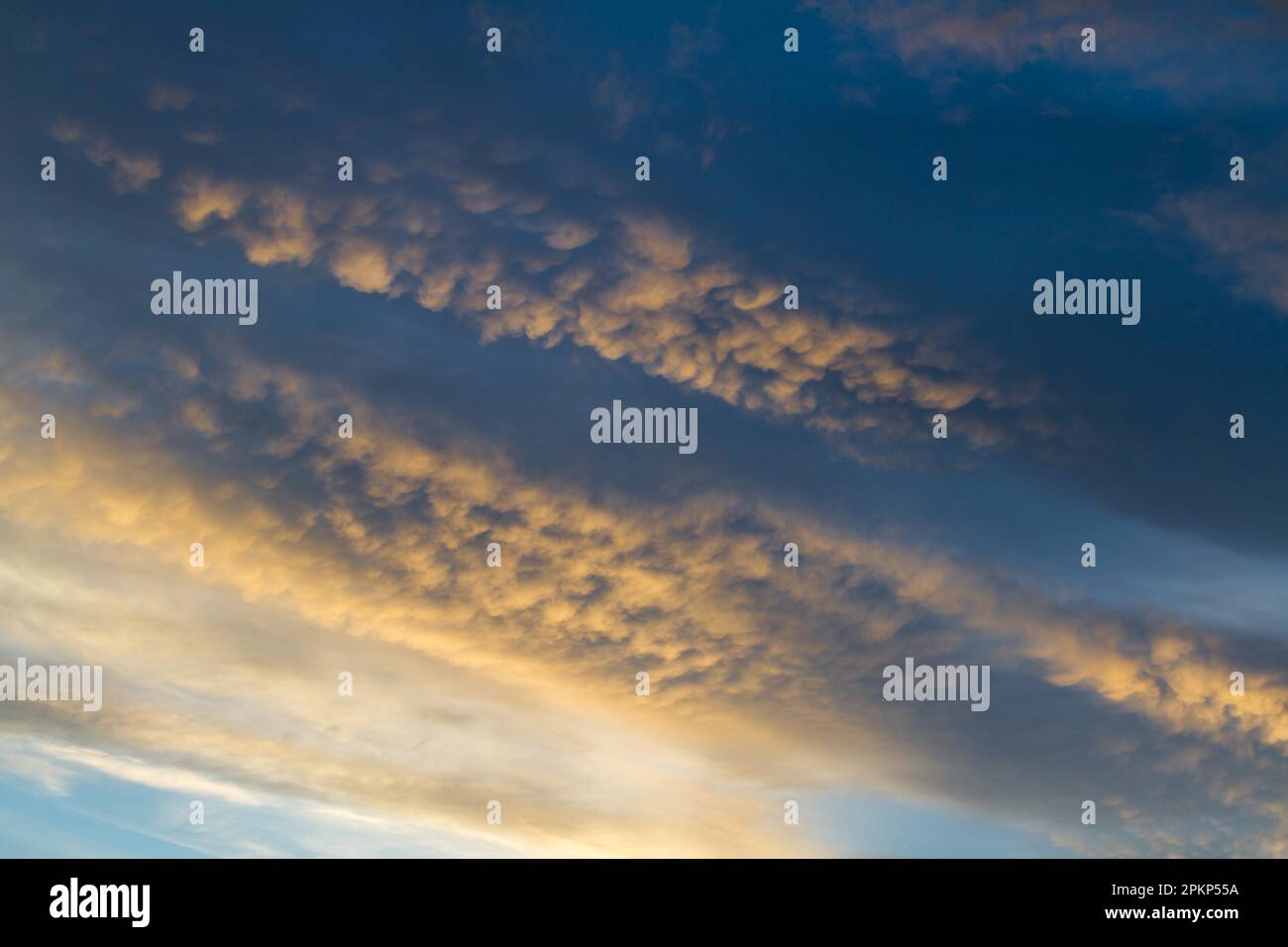The color of the evening hi-res stock photography and images - Alamy