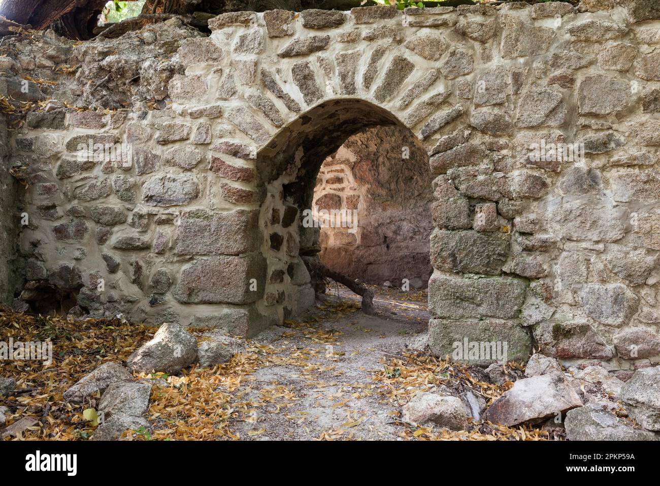 Lauenburg Castle Ruin near Stecklenberg Stock Photo - Alamy