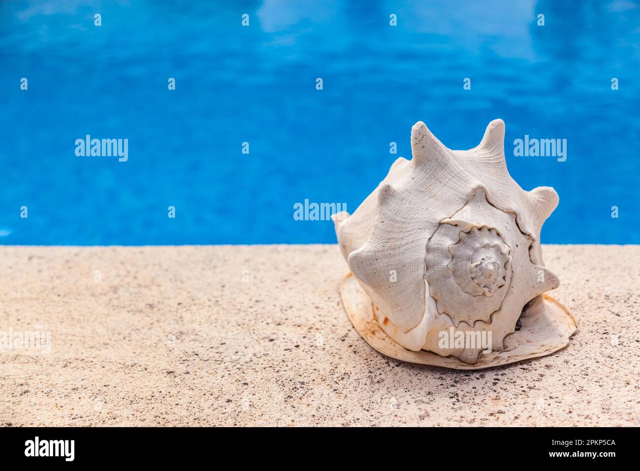 Summer vacation - big sea shell by swimming pool Stock Photo - Alamy