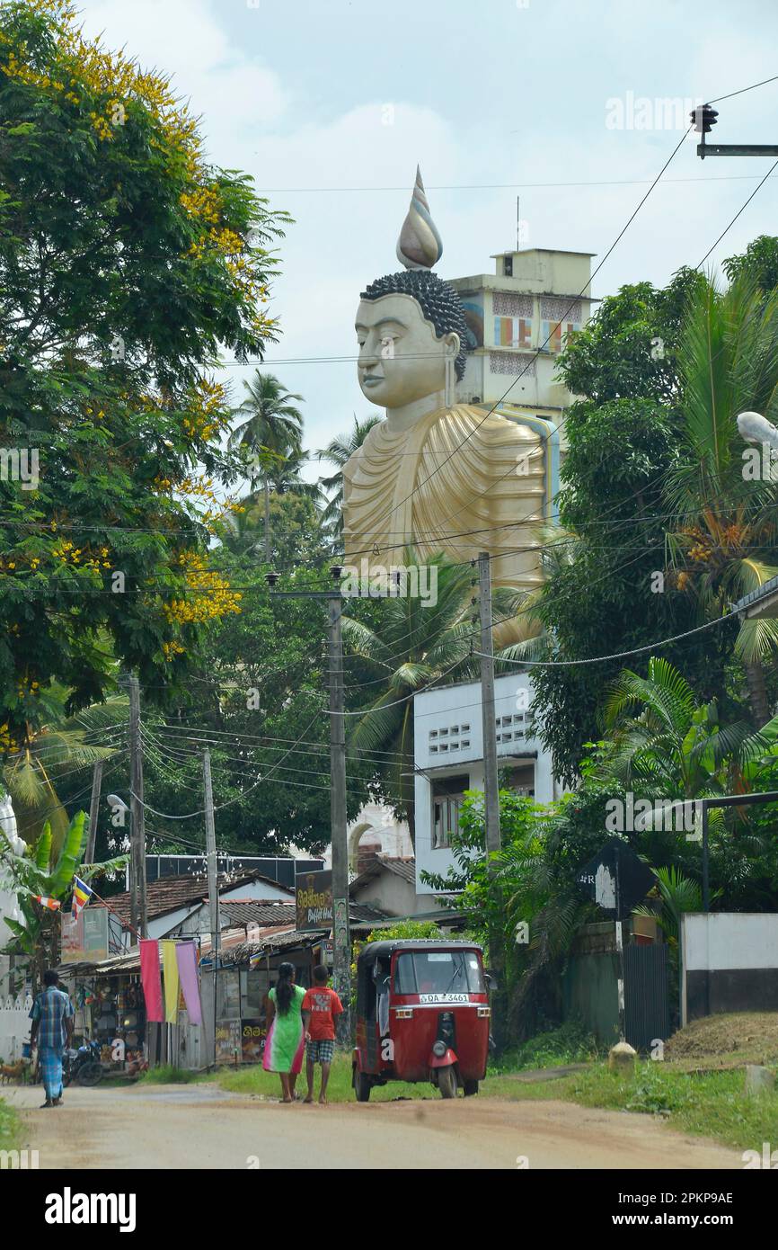 Dickwella hi-res stock photography and images - Alamy