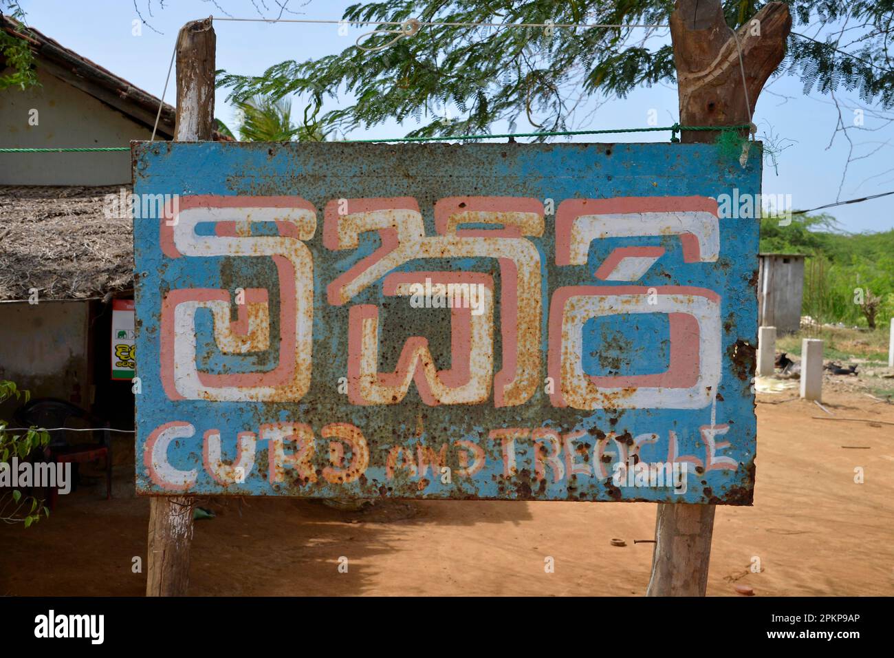 Sale Curd, Mattala, Sri Lanka, Asia Stock Photo - Alamy