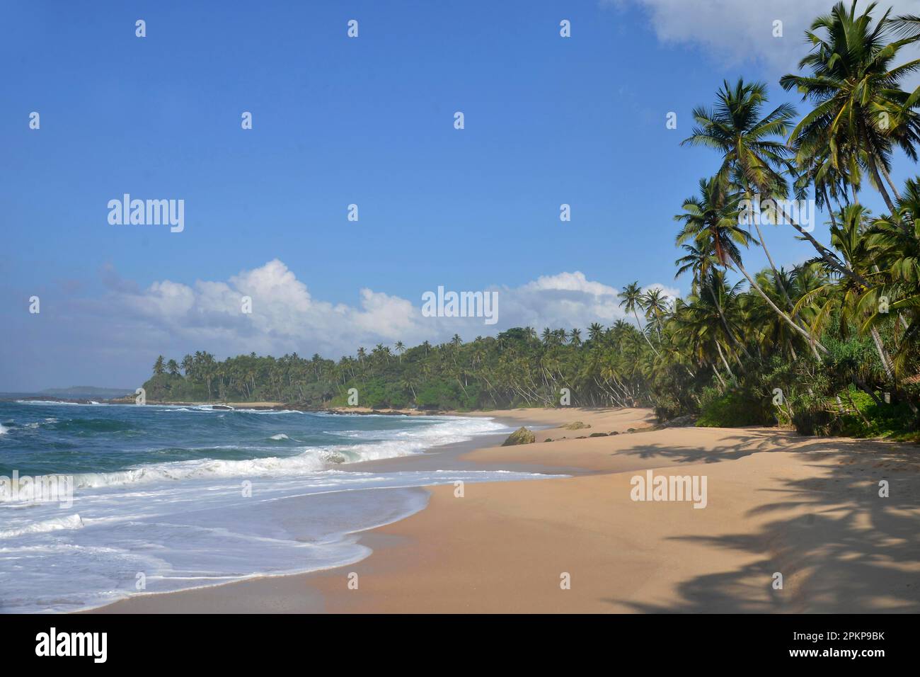 Amanwella Beach, Tangalle, Sri Lanka, Asia Stock Photo - Alamy