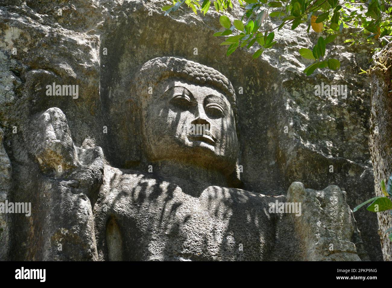 Buddha statue, Dowa Temple, Bandarawela, Sri Lanka, Asia Stock Photo ...