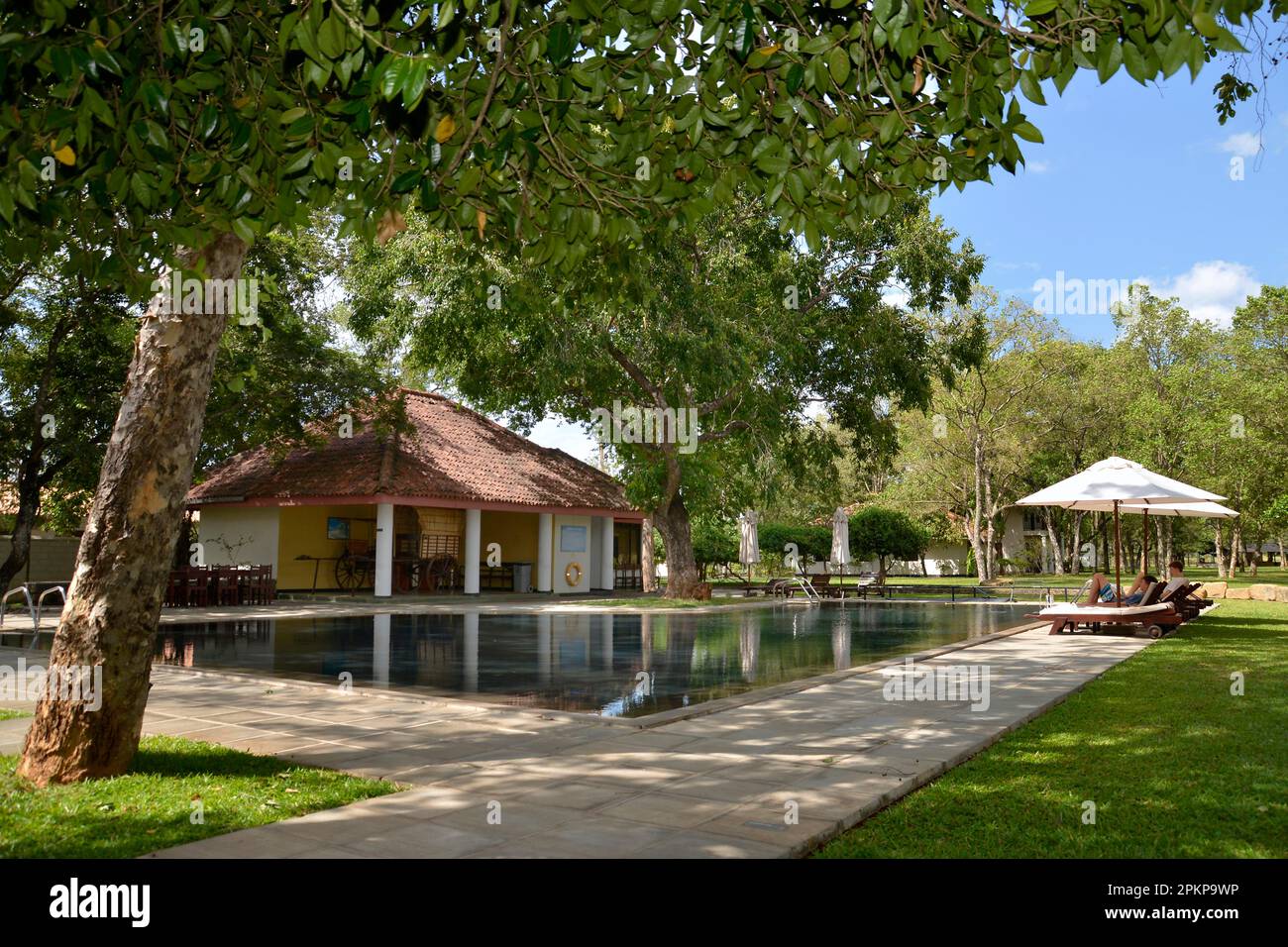 Swimming pool, Hotel Gimanhala, Dambulla, Sri Lanka, Asia Stock Photo ...