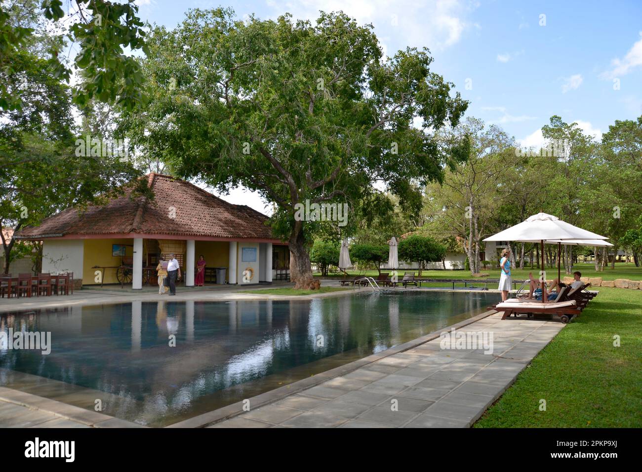 Swimming pool, Hotel Gimanhala, Dambulla, Sri Lanka, Asia Stock Photo ...