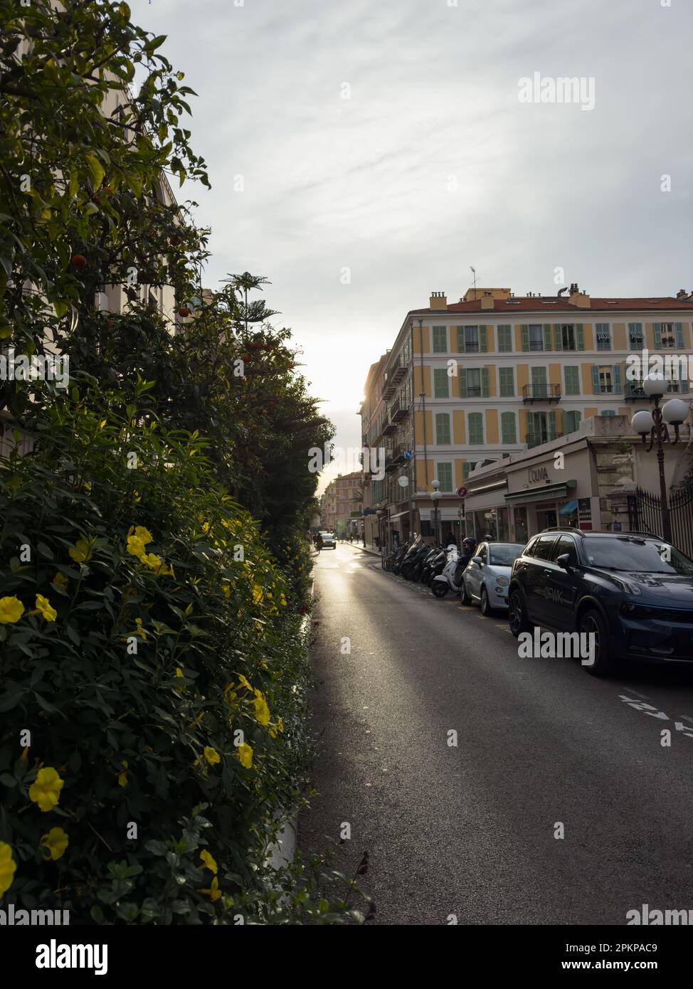 NICE, FRANCE- CIRCA MARCH, 2023: Nice street with cars, bikes and ...