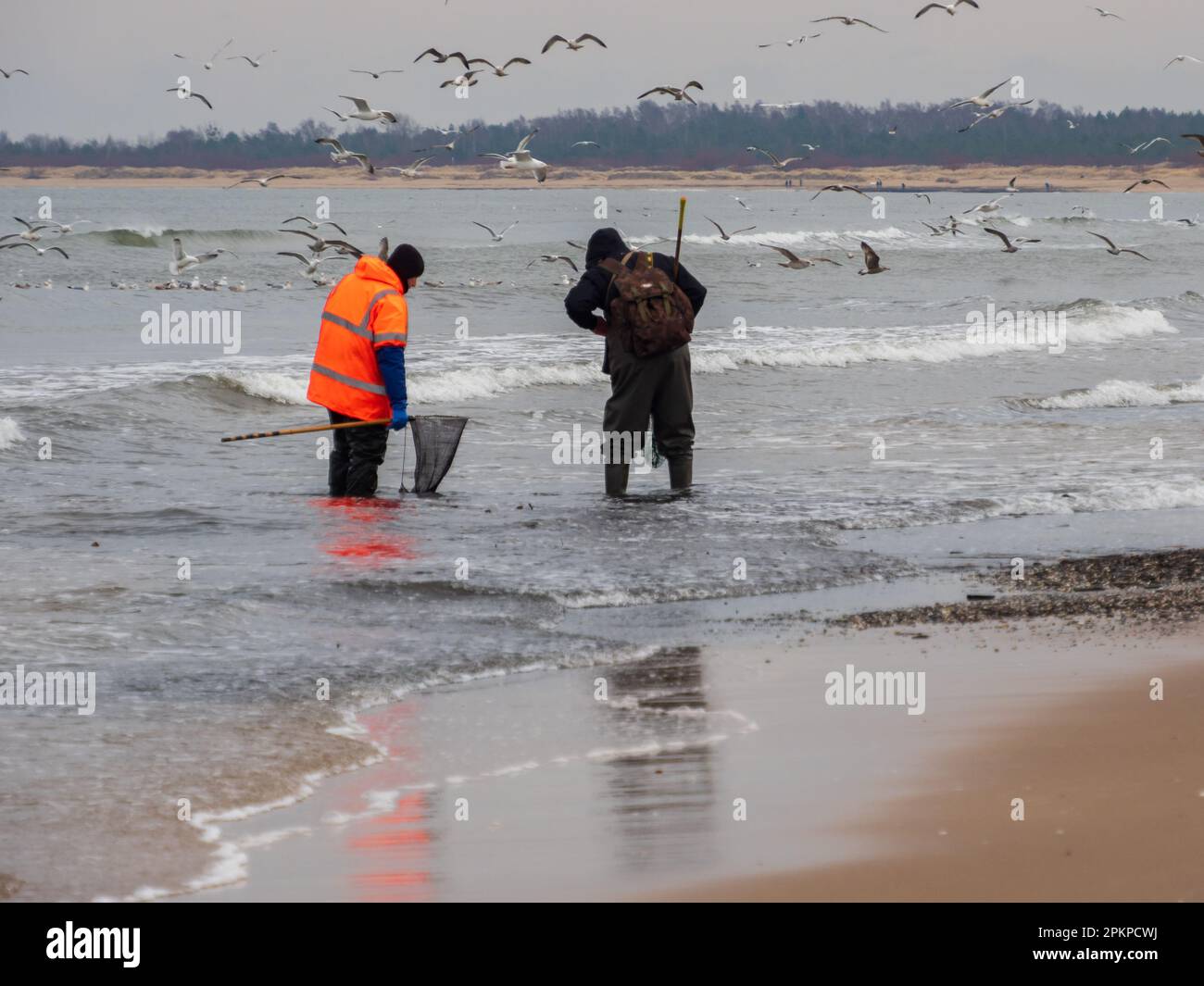 Gdańsk, Poland - Feb, 2022: Amber seekers during windy weather at the ...