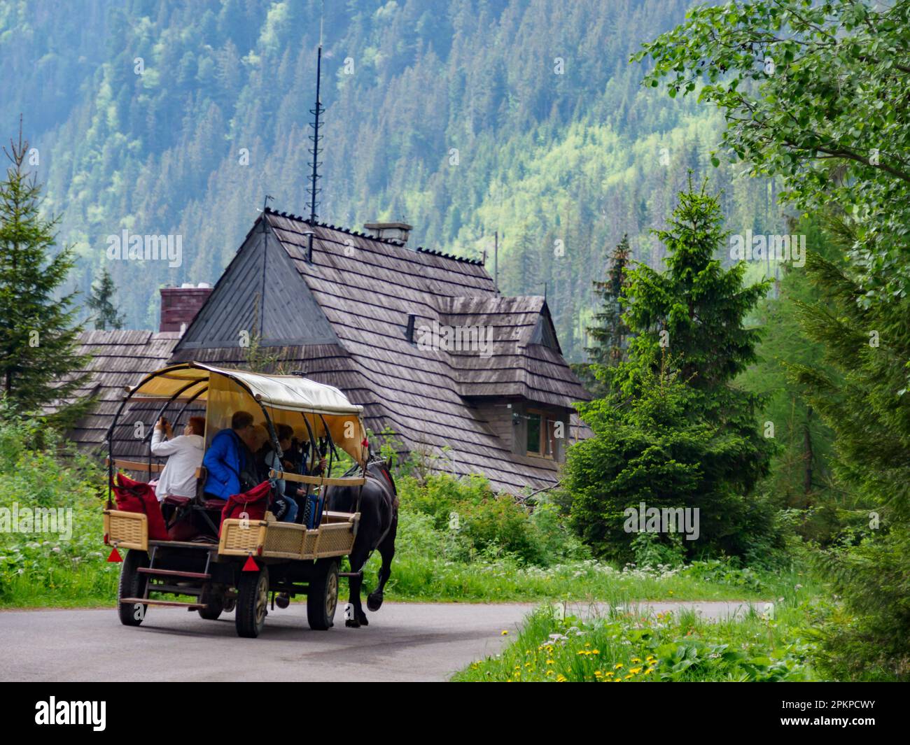 Britzka horse hi-res stock photography and images - Alamy
