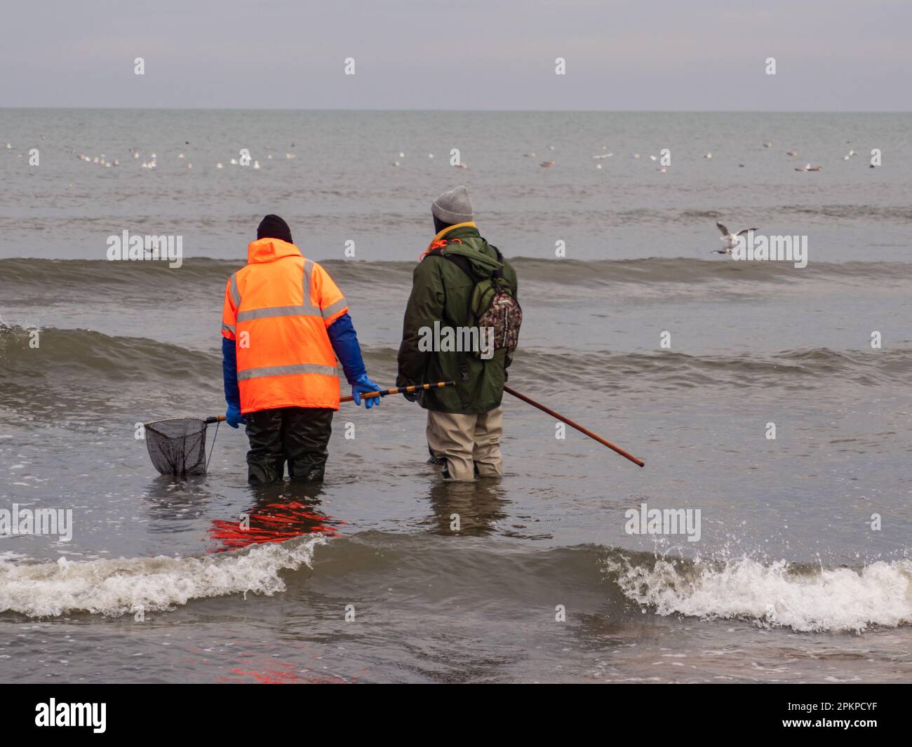 Gdańsk, Poland - Feb, 2022: Amber seekers during windy weather at the ...