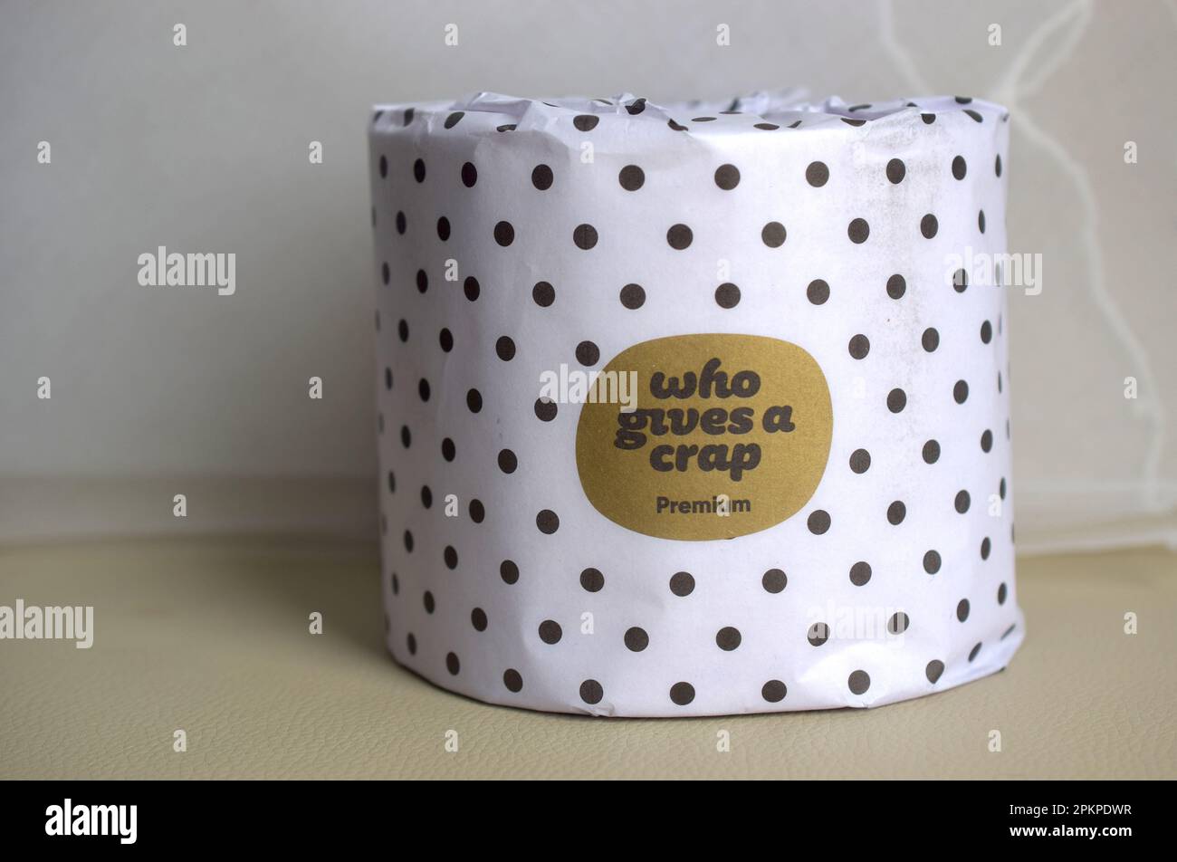 Who Gives A Crap Toilet paper roll made of bamboo with a funny name on ...