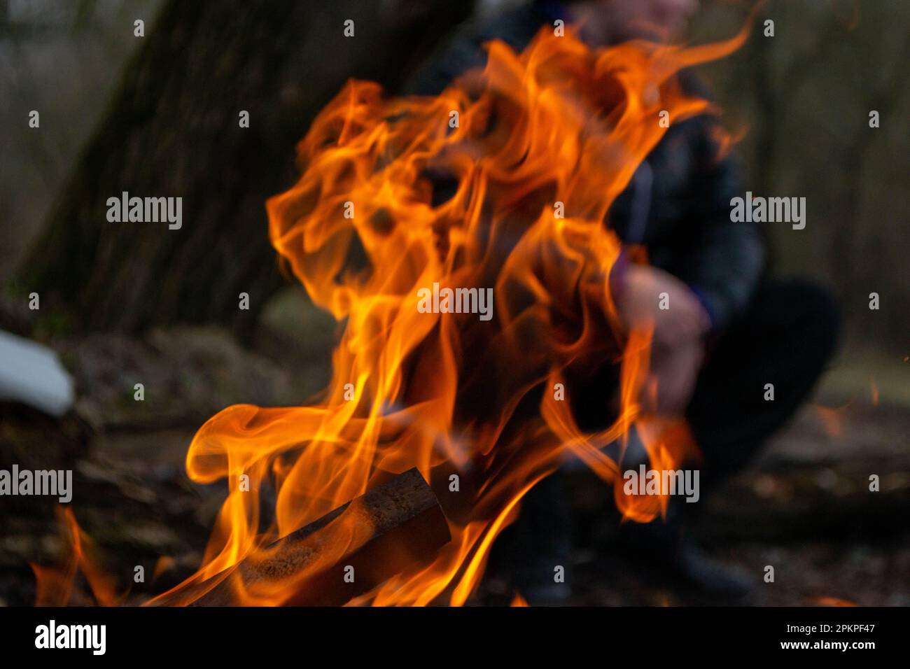 A fire burns in a campfire with a red fire in the background. High ...