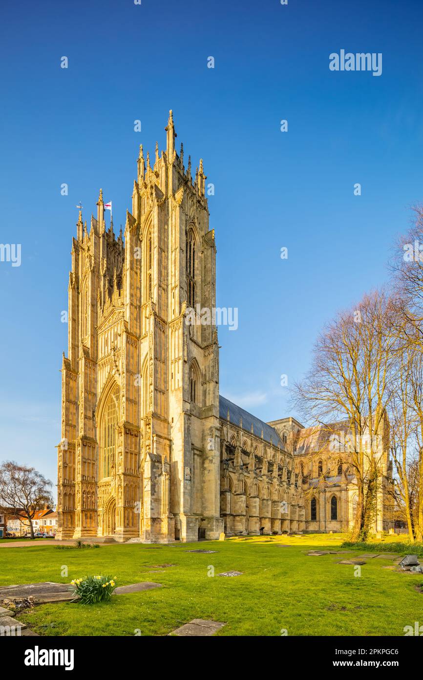 Beverley Minster. East Yorkshire. Fine Gothic Church. Built with ...