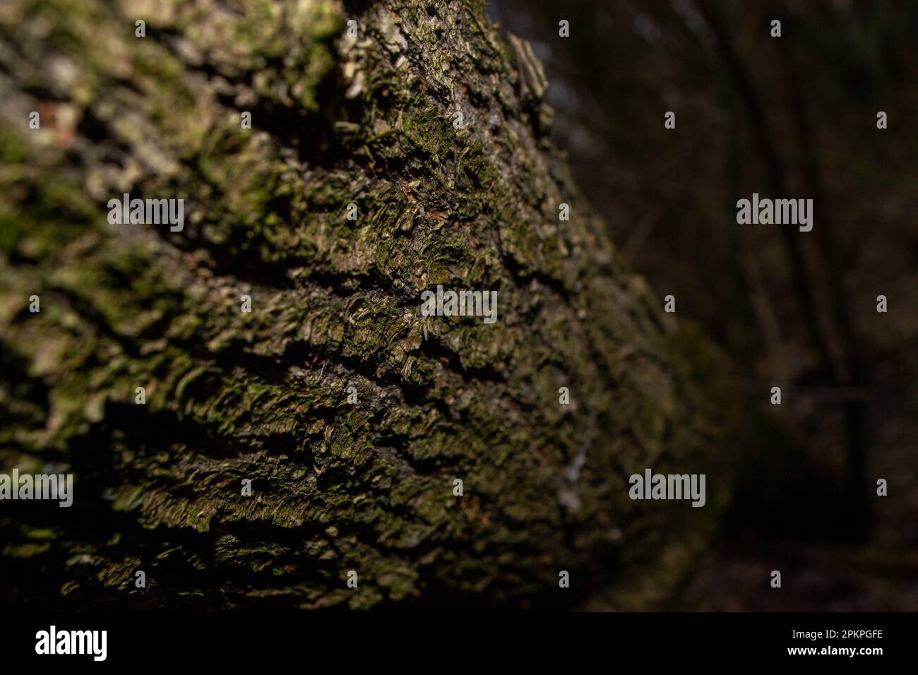 High quality bitumen hi-res stock photography and images - Alamy