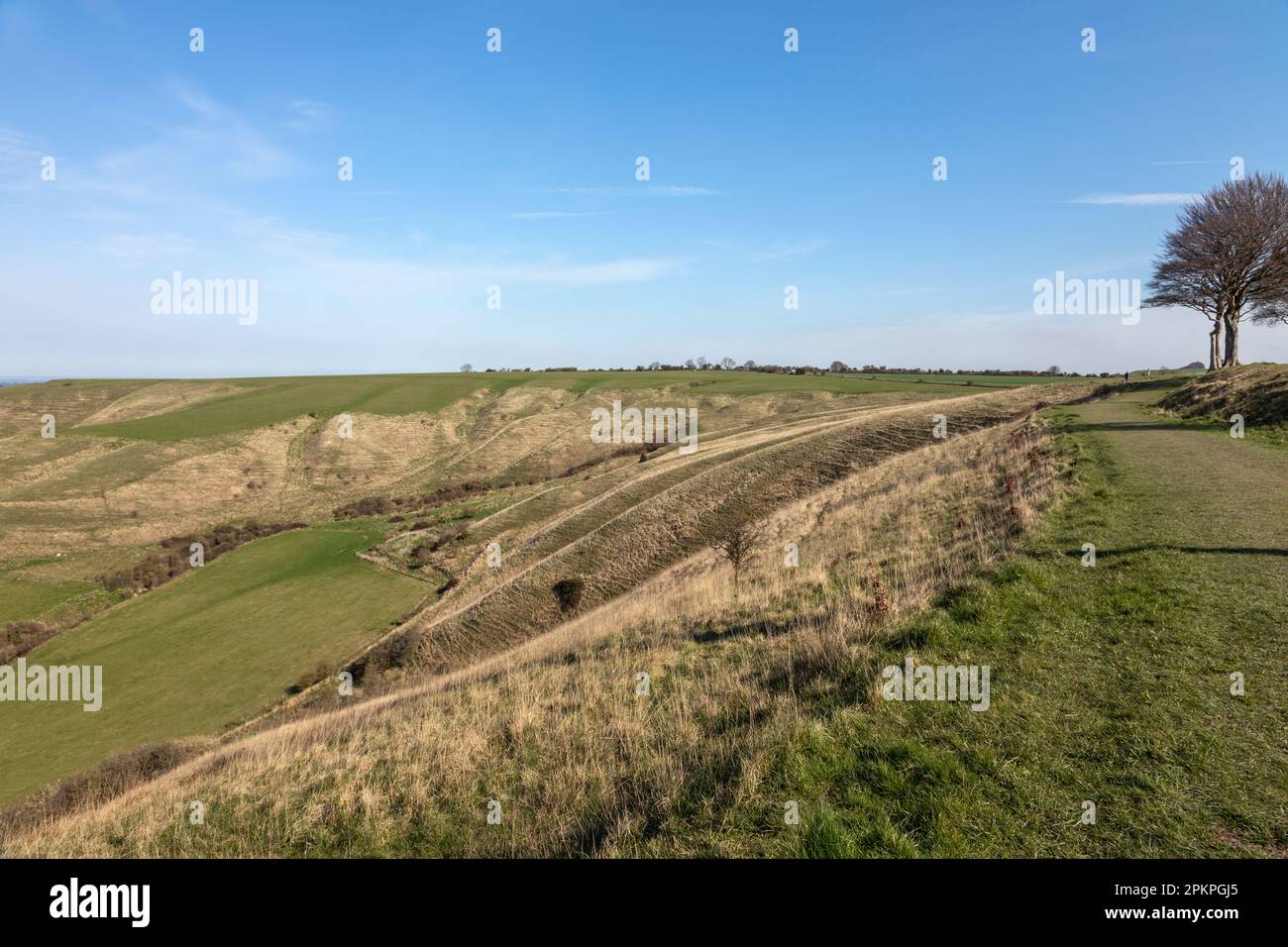 Oliver’s Castle an Iron Age hill fort on Roundway Hill, Devizes ...